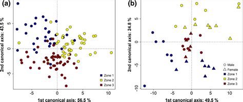 Canonical Variates Analysis Of Shell Shape Variation In C Ambigua In