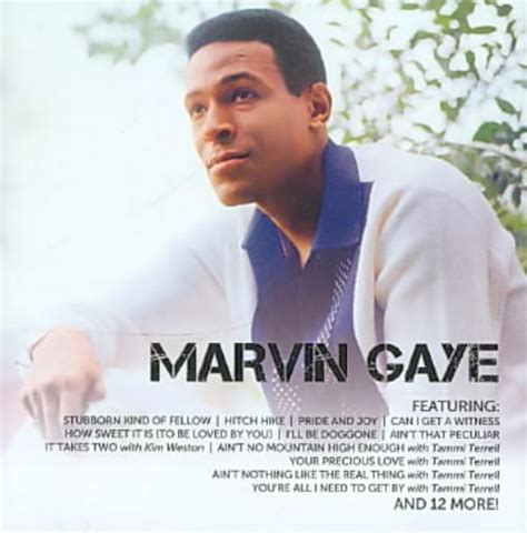 Marvin Gaye Icon 2 Cd Walmart Canada