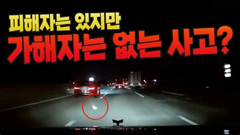 12801회 블박차 2차로 진행 중 1차로 앞에 가던 차 뒷바퀴에 튕겨서 날아온 돌멩이가 쾅 스크래치가 나고 크게 구멍이