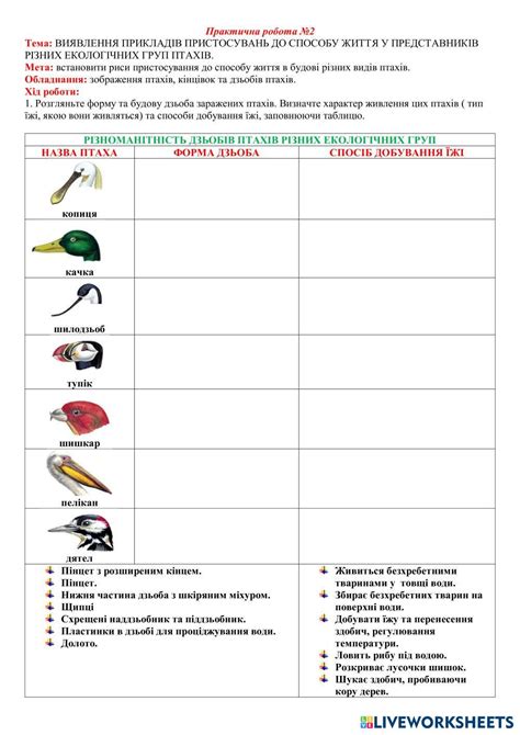 7331888 Практична робота № 2 Виявлення прикладів