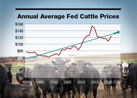 Heres Why Fed Cattle Prices Could Reach 180 By 2024 Drovers