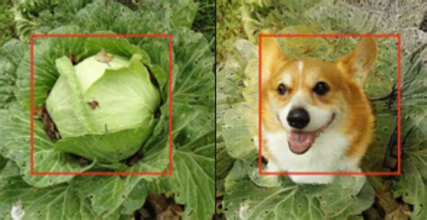 北大字节联合发布视觉自动回归建模（var）：通过下一代预测生成可扩展的图像