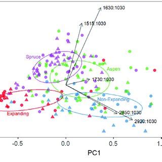 Comparison Of Decomposition Index Values For Each Stand Type Each Download Scientific Diagram