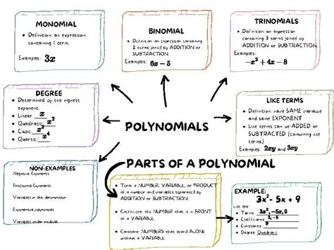 Polynomials Graphic Organizer By Laura M Blair Tpt