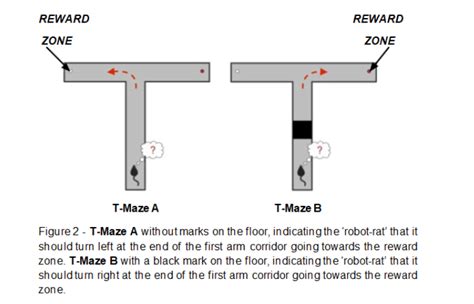 E Puck A Robot Designed For Education In Engineering Assignment