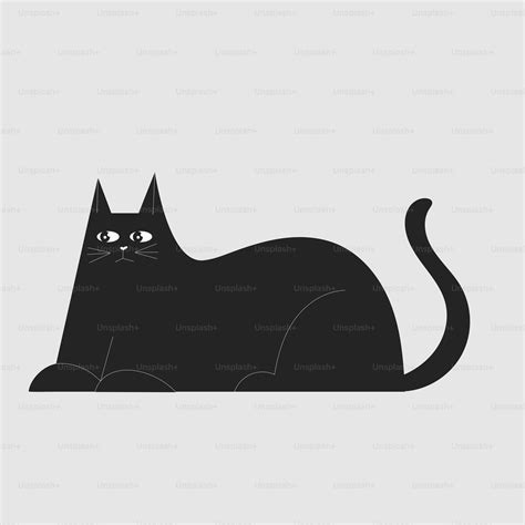 하얀 바닥 위에 앉아 있는 검은 고양이 벡터 Unsplash의 이미지