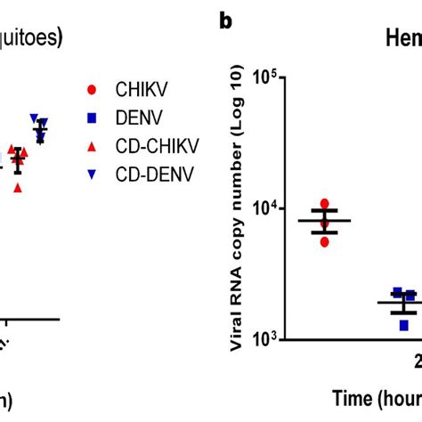 The Figure Shows Quantification Of Viral Rna Copies Scaled To Log 10 Download Scientific