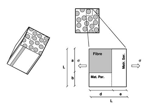 5 Schematic Representation Of The Transversal Section Of The Download Scientific Diagram