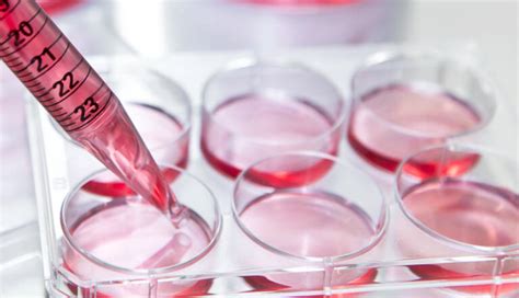 Understanding Ph And Osmolality In Cell Culture Media Captivate Bio