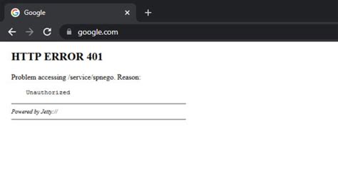 status code 401 access prohibited without authorization