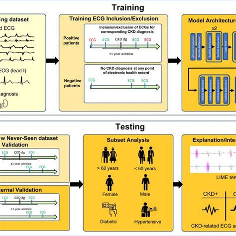 Schematic Illustration Of Deep Learning Model Training Testing And