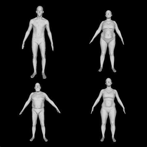 different challenges of 3d human sequence comparison a shape