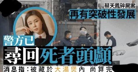 蔡天凤烹尸案新嫌疑人落网，系前公公的情妇，目前被抓的人都装傻