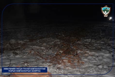 Шөнийн эргүүлүүд улсын тусгай хамгаалалттай газар хууль бусаар мод бэлтгэсэн үйл ажиллагааг