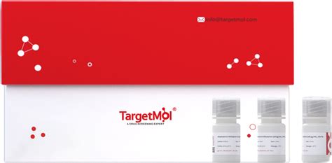 Amphotericin B Solution 250 μgml Sterile Targetmol