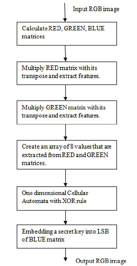 Flow Diagram Of Embedding Process Download Scientific Diagram