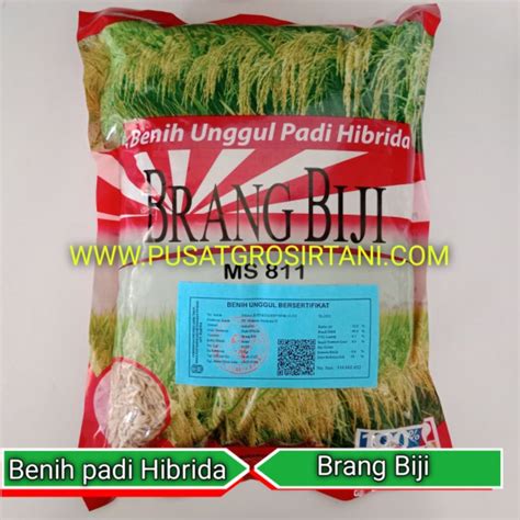 Jual 10 Kg Padi Hibrida Brang Biji Grosiran Padi Brang Biji Murah Shopee Indonesia