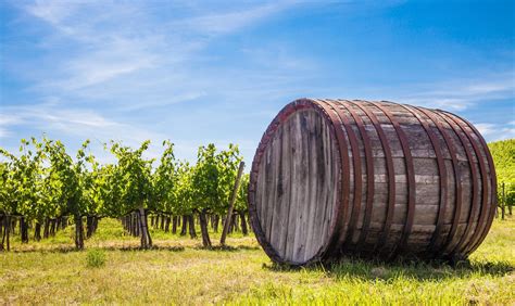 The Worlds Top Wine Regions Austria Wine Passions Magazine