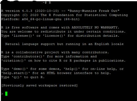 Switching R Version On Ubuntu 2204 Posit Package Manager Posit Community