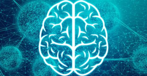 From Molecules To Memory Picower Institute