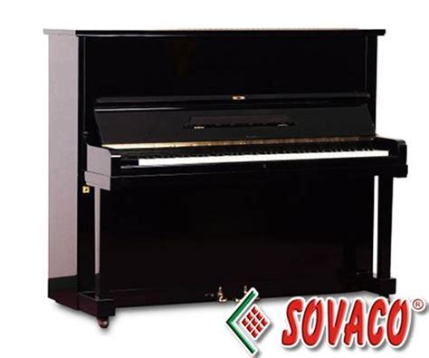 N Piano Schweizertein Piano C Gi R Nh T Th Tr Ng