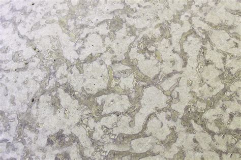 Premium Photo Limestone Polished Texture Sample At Geological