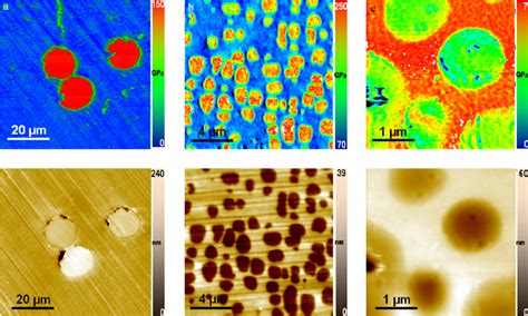 Examples Of Afam Measurements With Corresponding Topography On