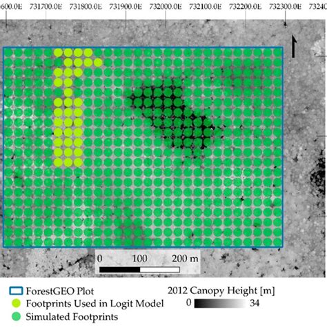 simulated gedi footprint locations within the forestgeo plot rendered