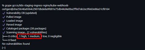 ingress nginx kube webhook certgen image gets flagged as vulnerable · issue 9809 · kubernetes