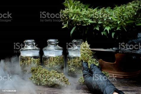 남자의 손이 마리화나 꽃에서 잎을 다듬고 있다 배경에는 마리화나 꽃의 유리 병이 있습니다 가위에 대한 스톡 사진 및 기타 이미지