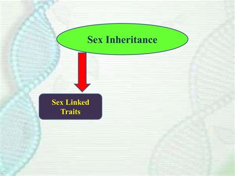 Sexinfluence Sex Linked And Sex Limitedtraits Pdf