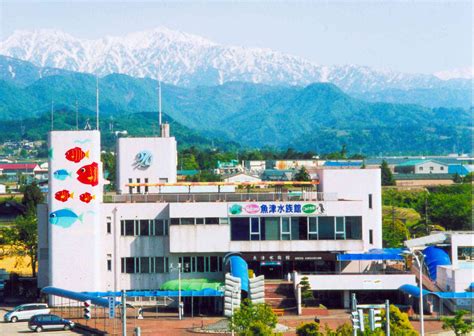 魚津水族館 ゴールデンウィーク 2021 ウォーカープラス