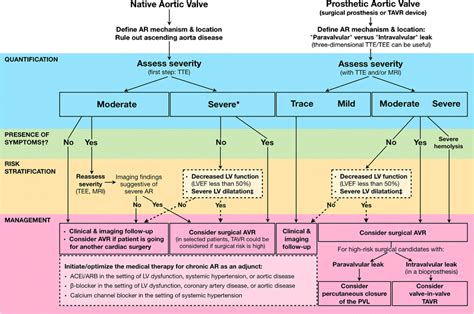 Proposed Algorithm For The Management Of Patients With Chronic Aortic Download Scientific