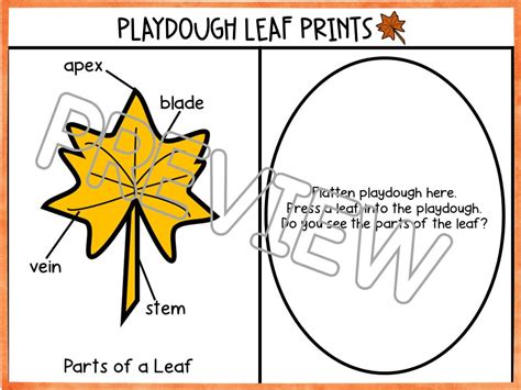 Preschool Learning Binder Homeschool Learning Binder Etsy