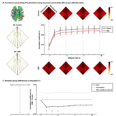 Global Imbalances In Structure Function Coupling In Asd A Schema