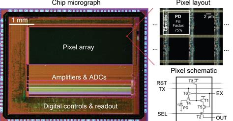 with programmable pixels novel sensor improves imaging of neural