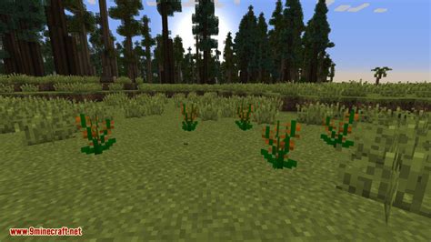 Plants Mod 1 12 2 1 11 2 All Kinds Of Real World Plants 9Minecraft Net