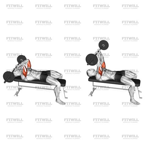 Barbell Lying Triceps Extension Skull Crusher Exercise Guide Video Techniques Benefits How