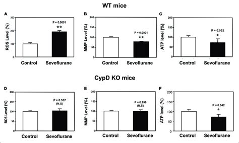 Sevoflurane Induces A Cypd Dependent Mitochondrial Dysfunction In Download Scientific Diagram