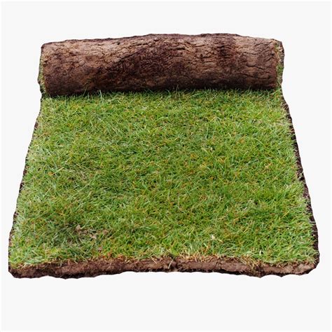 Natural Grass Carpet Roll Outdoor Grass Carpet Halaplantsae