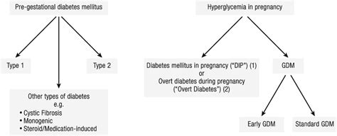 Flowchart Summarizing The Contemporary Nomenclature For Hyperglycemia Download Scientific