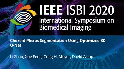 choroid plexus segmentation using optimized 3d u net ieeetv