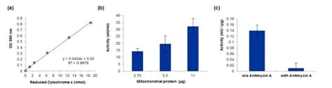 Mitochondrial Complex Iii Activity Assay Kit Ab287844 Abcam