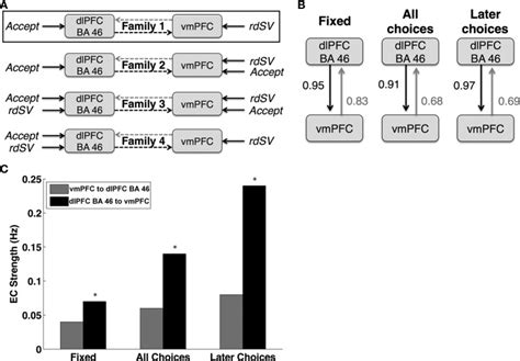 Dynamic Causal Modeling Results A Schematic Representations Of The