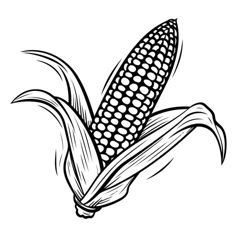 Premium Vector Corn Black And White Engraved Ink Art Isolated Corn Illustration Element On