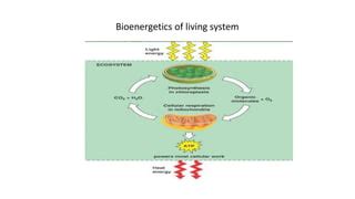 Oxidation And Reduction Reaction In Living System Pptx