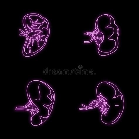 Milt Anatomie Pictogrammen Instellen Vectorneon Vector Illustratie