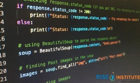 how to become a python expert rise institute