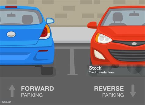 야외 주차장 수직으로 주차된 자동차의 앞면과 뒷면 모습 전진 및 후진 주차 개체 그룹에 대한 스톡 벡터 아트 및 기타 이미지 개체 그룹 거리 교통 Istock