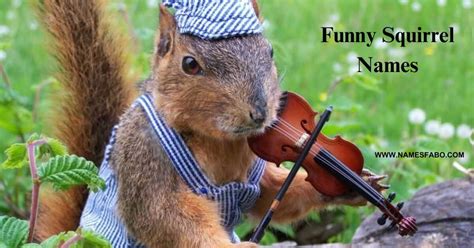250 Cute And Unique Squirrel Names With Meaning